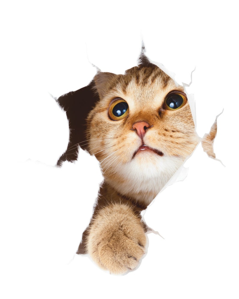 Cat 3D Wall Sticker Cat Wall Decal Pet Removable Vinyl - Etsy