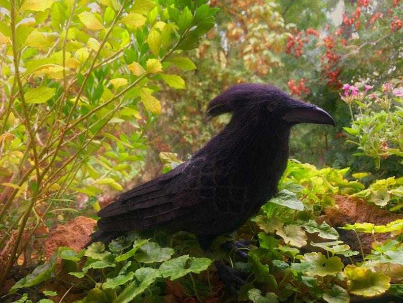 Realistic Raven Halloween Decor Needle Felted Wool Raven - Etsy