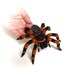 Handmade Wool Tarantula Spider, Needle Felted Creepy Halloween Web ...