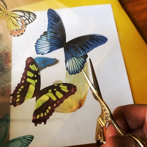 Printable Colored Butterfly Wings Collage Sheet to Handmade Dolls ...