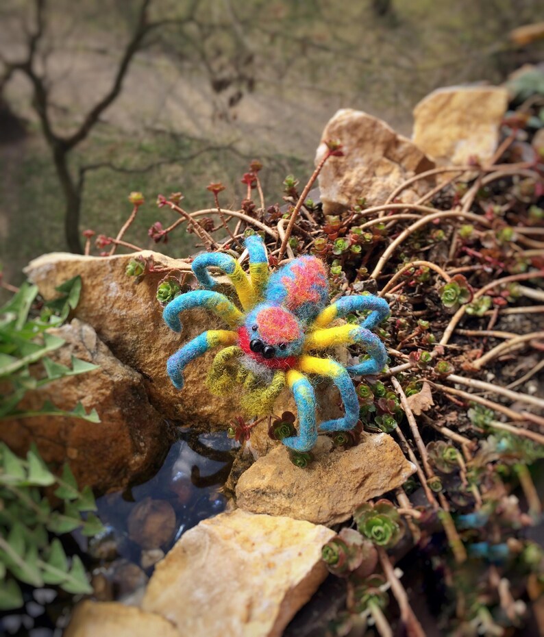 Candy Jumping Spider: Colorful Needle Felted Wool Halloween Decor - Etsy