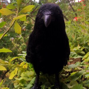 Realistic Raven Halloween Decor, Needle Felted Wool Raven Sculpture. - Etsy
