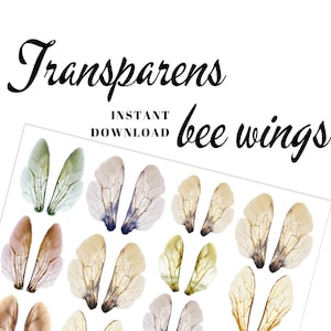Printable Transparent Bee Wings Collage Sheet to Needle Felted Bee ...