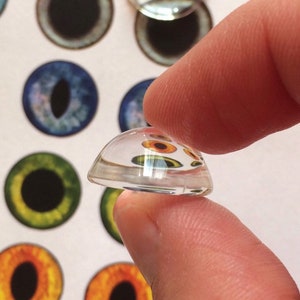 Printable Color Animal Eyes Collage Sheet to Handmade Dolls - Etsy