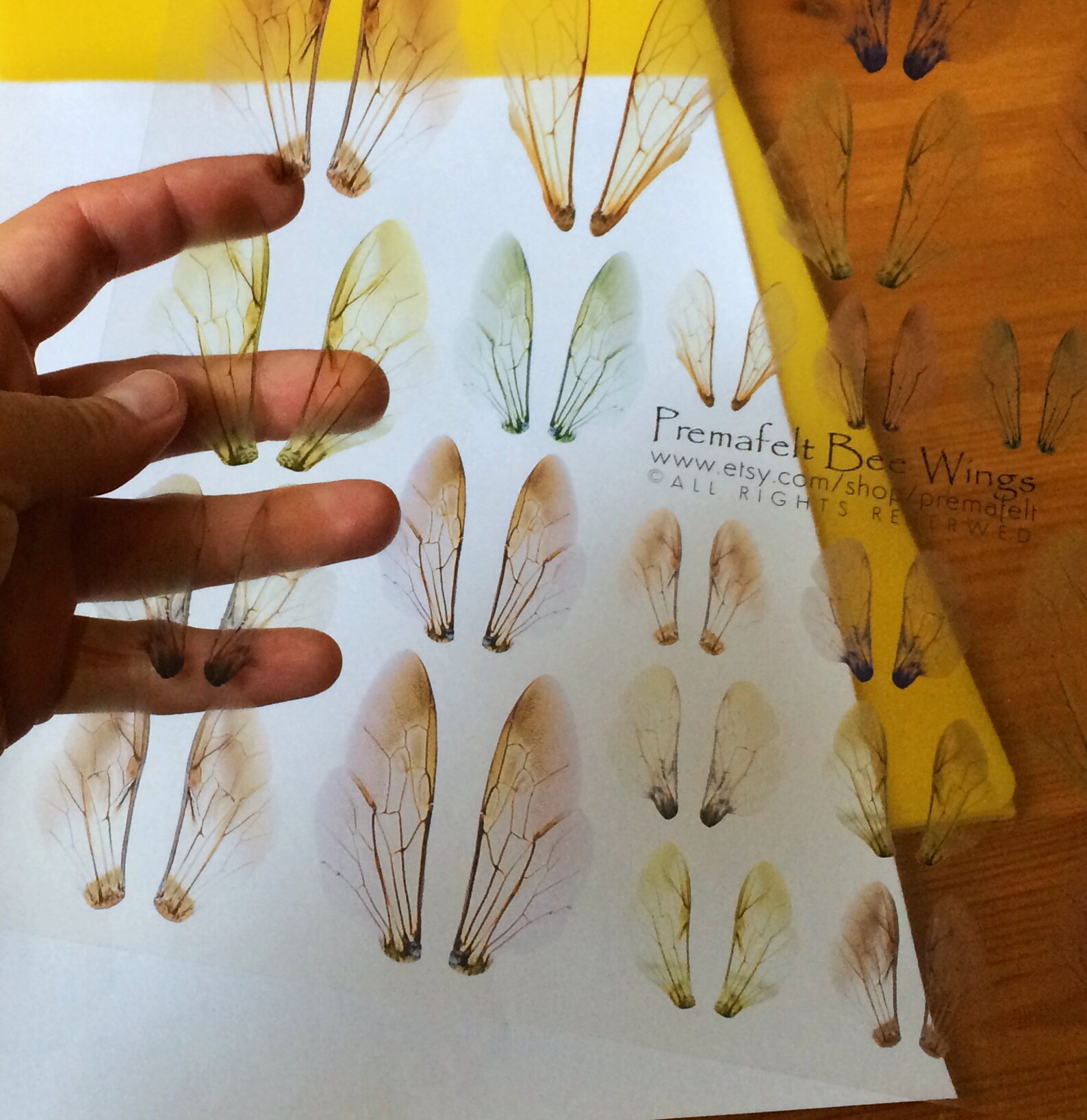 Printable Transparent Bee Wings Collage Sheet to Needle Felted - Etsy