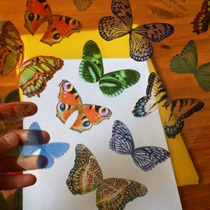 Printable Colored Butterfly Wings Collage Sheet to Handmade Dolls ...