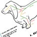 Wire Armature Sizes, Ratios, of Needle Felted DOGS Guide Part 1 ...