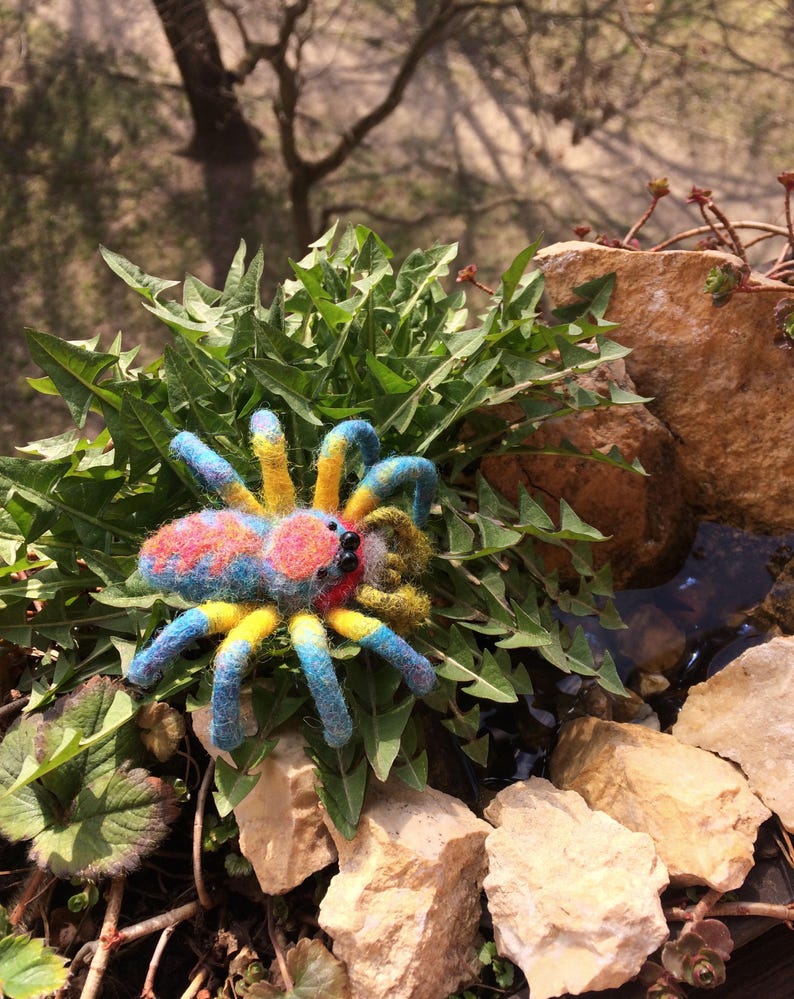 Candy Jumping Spider: Colorful Needle Felted Wool Halloween Decor - Etsy