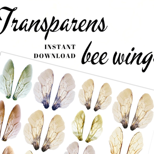 Bee Wings - Etsy