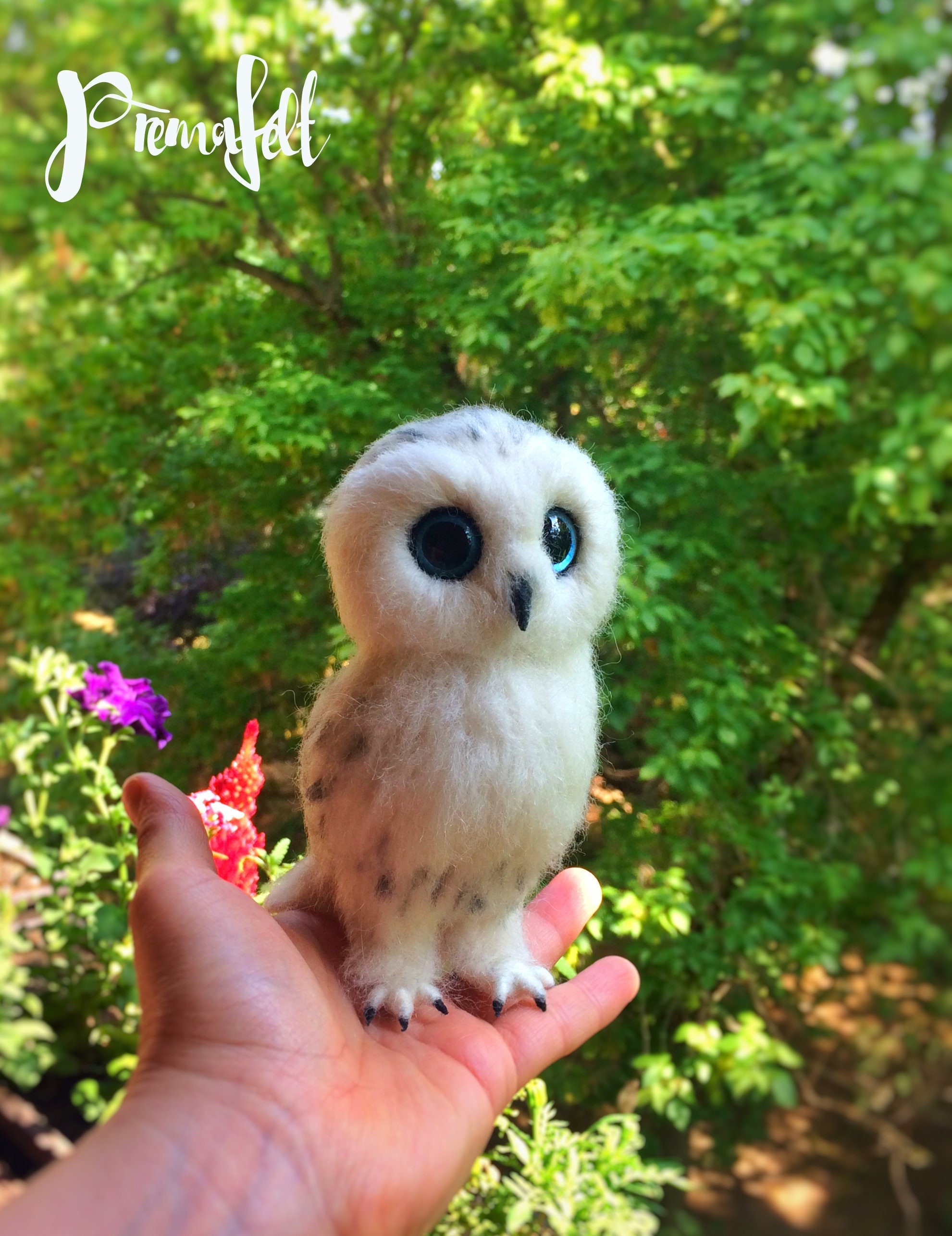 Cute Baby Snowy Owl