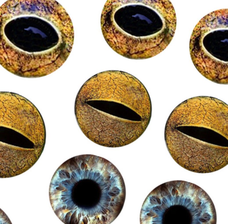 Printable Color Animal Eyes Collage Sheet to Handmade Dolls - Etsy