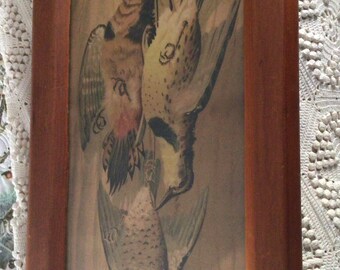Pictures of Dead Game Birds - Etsy