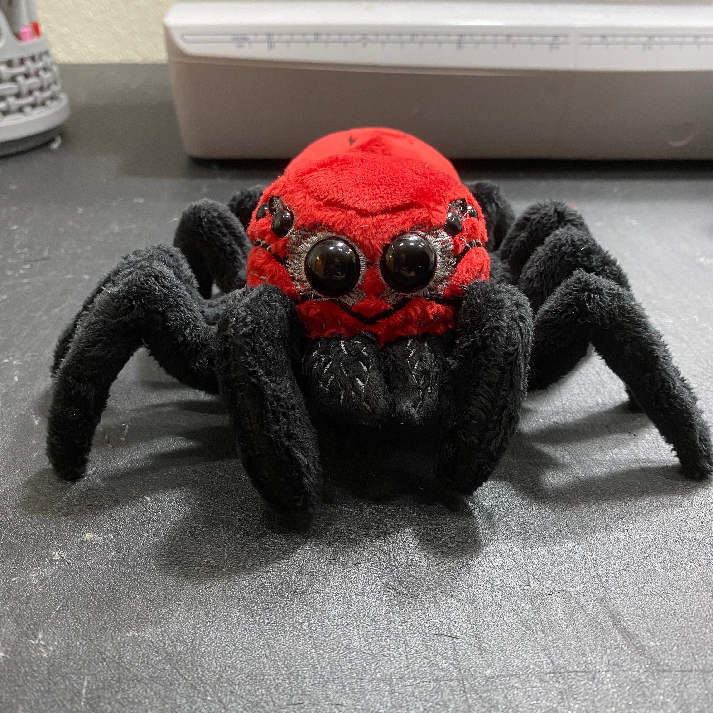 Cute Cardinal Jumping Spider - Etsy
