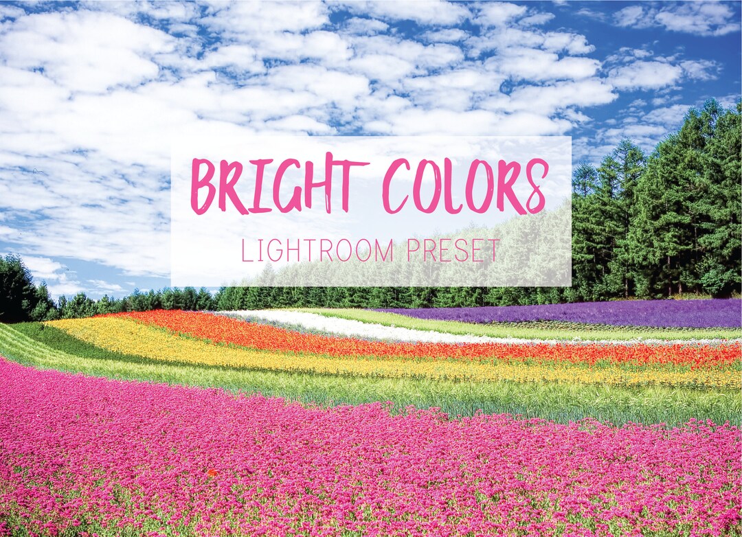 Bright Colors Lightroom Preset for JPG Photos - Colorful Light - Etsy