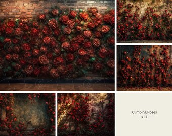 19 Red Floral Fine Art Textures, Flower Background, Photoshop Overlays ...