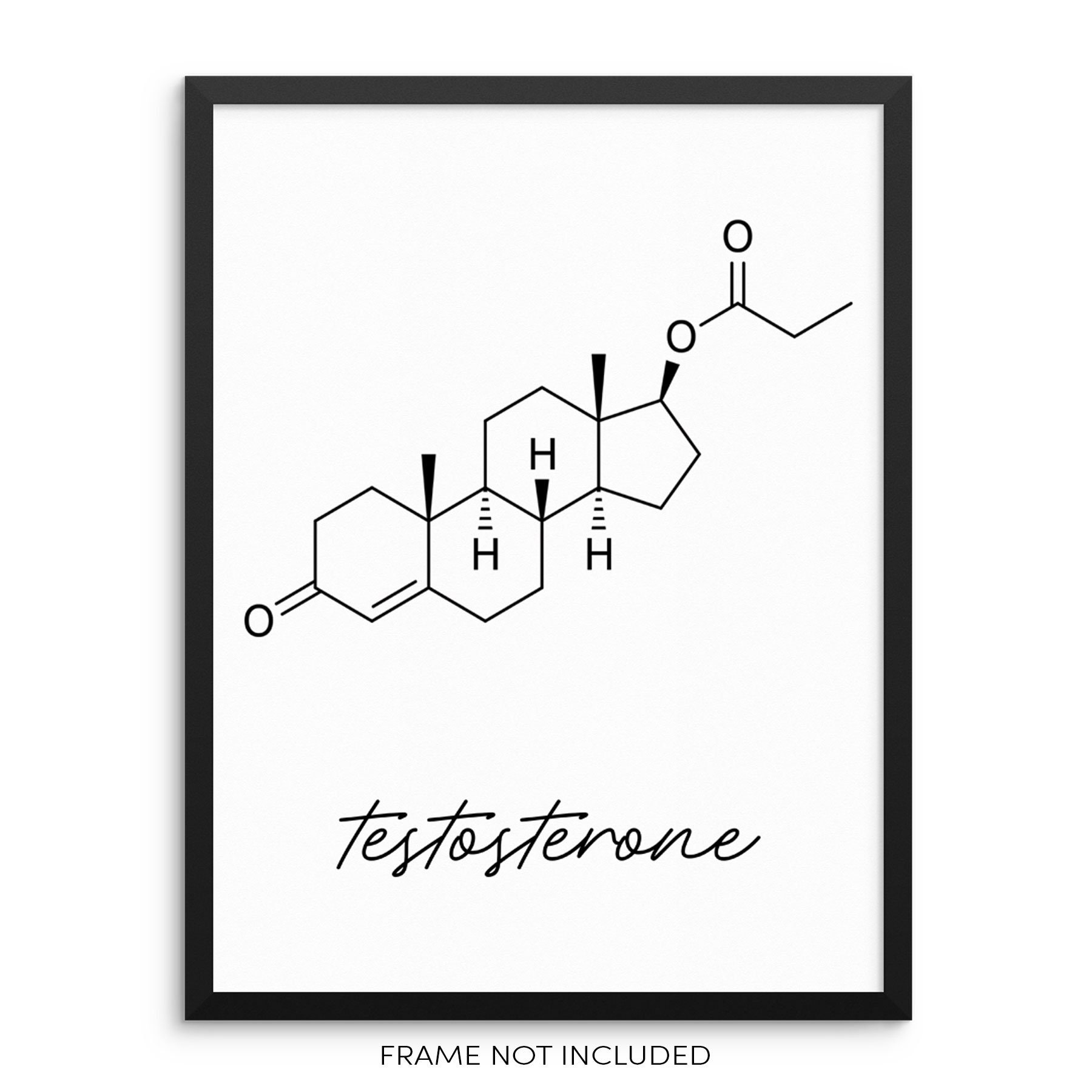 Testosterone Molecule Structure