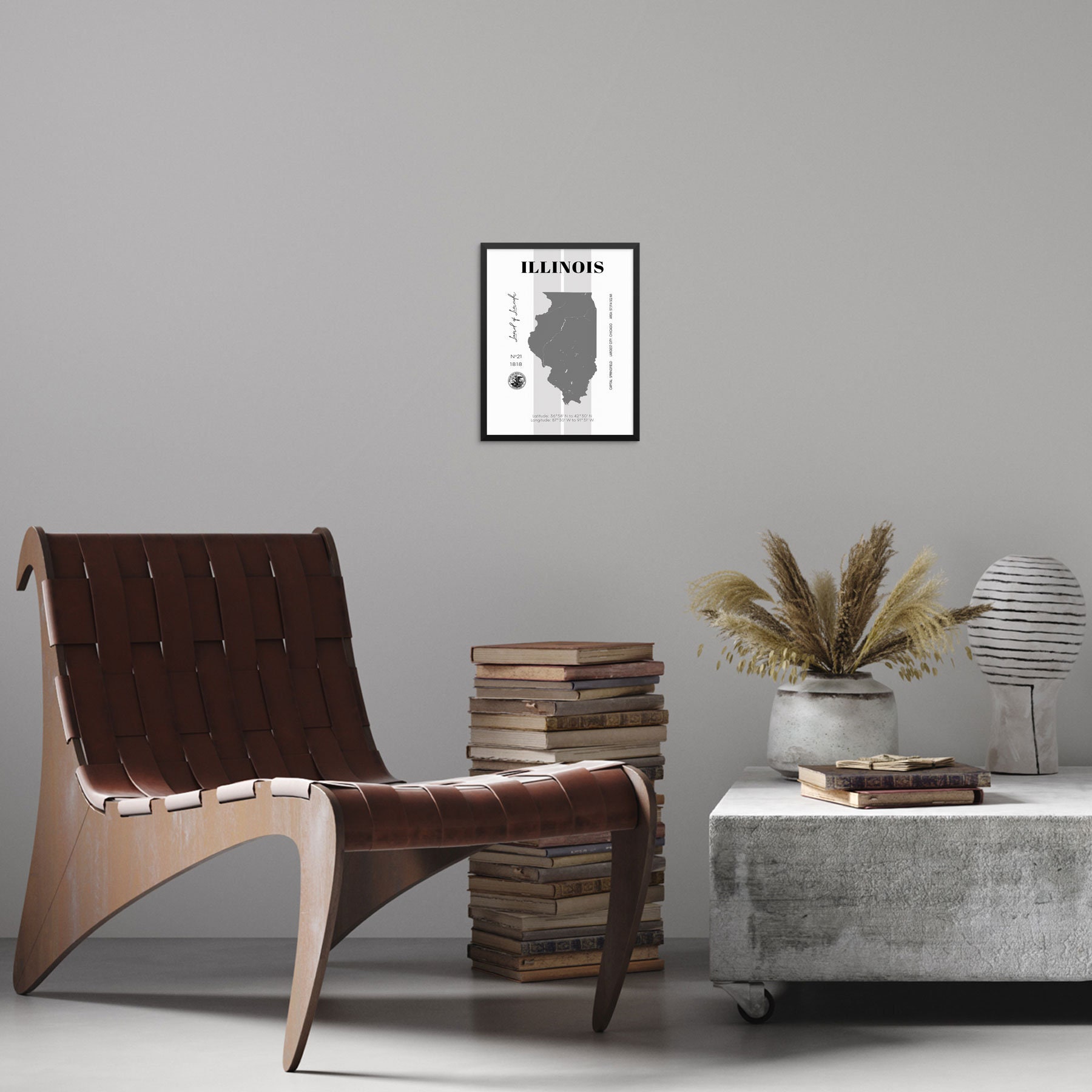 Illinois State Map Poster with Demographics Minimalist Home - Etsy.de