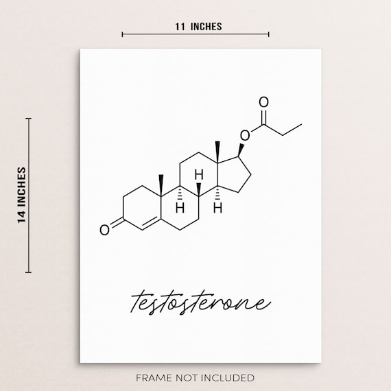 Testosterone Molecule