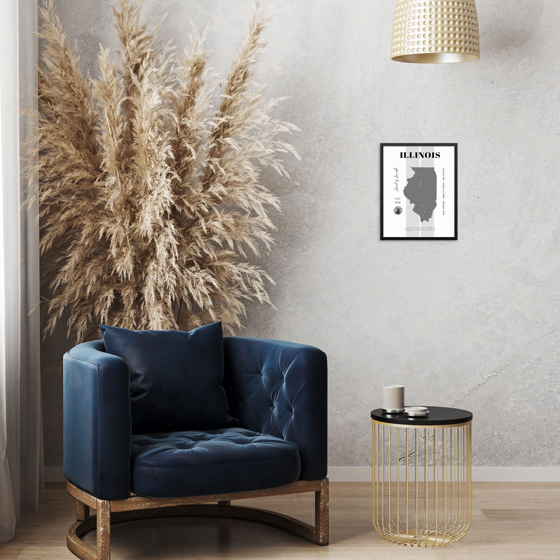 Illinois State Map Poster with Demographics Minimalist Home - Etsy.de