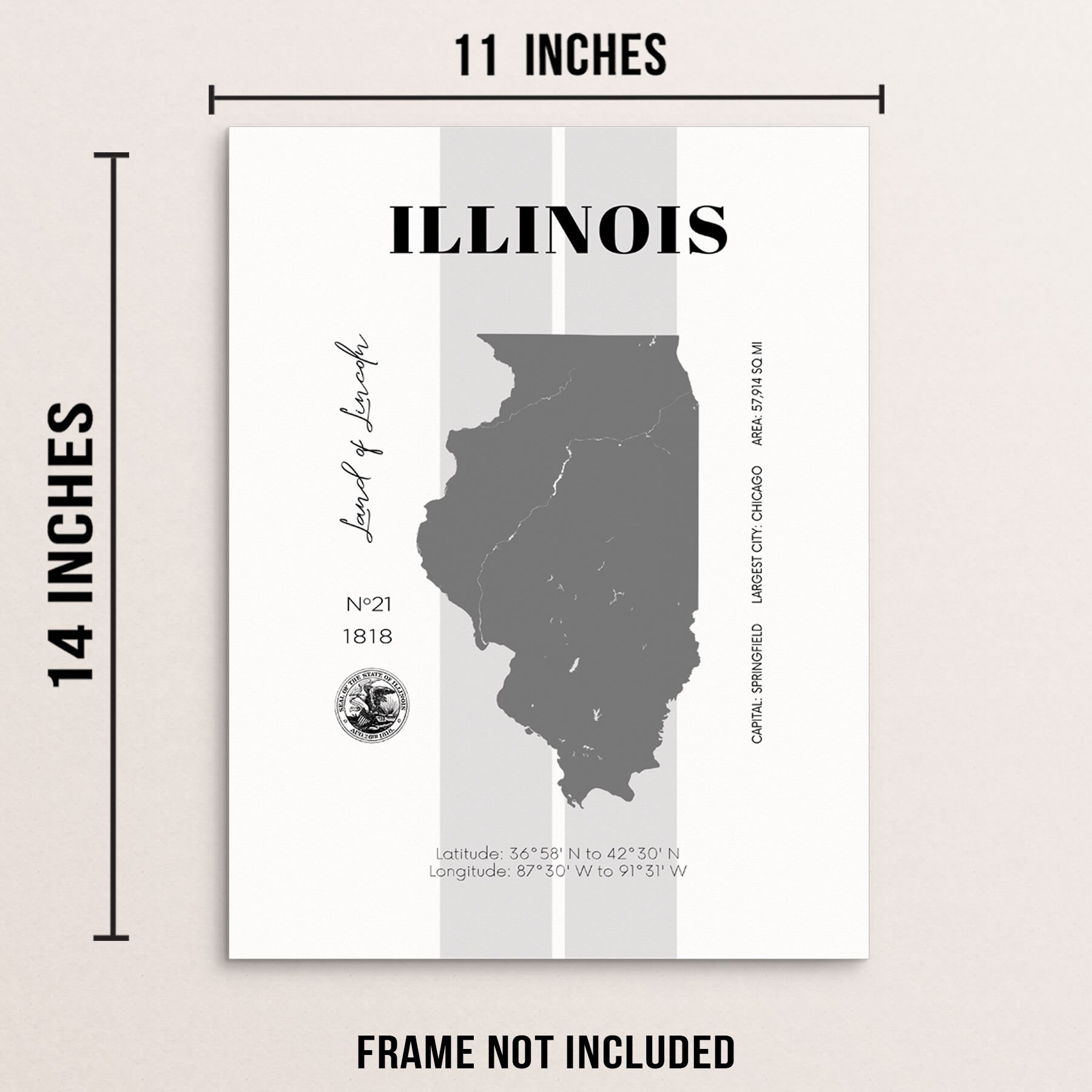 Illinois State Map Poster with Demographics Minimalist Home - Etsy.de