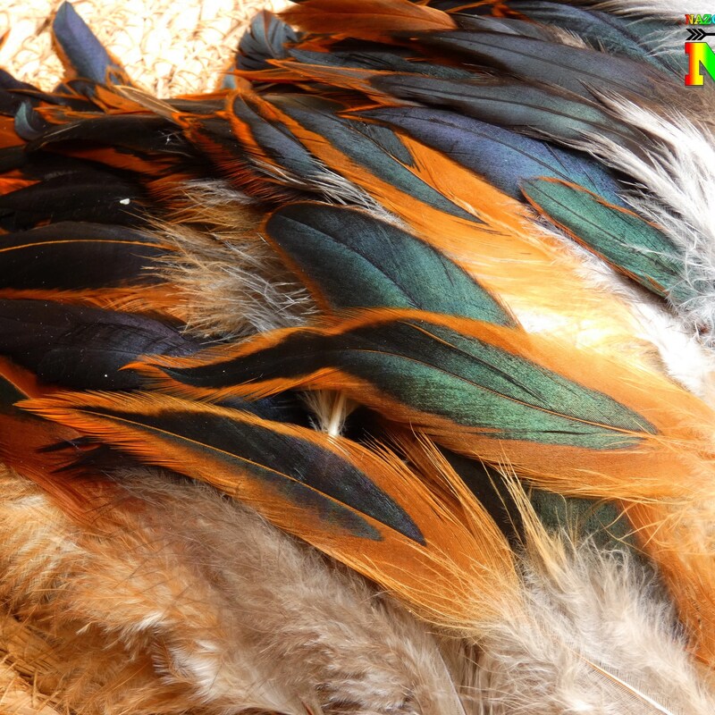 Rooster Feather - Etsy