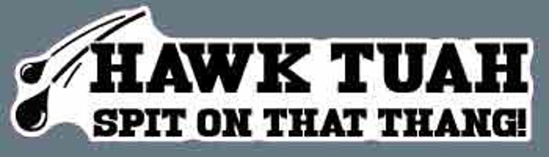 Hawk Tuah Decal Sticker, Spit on That Thang, Gawk Gawk, Tik Tok Decal ...