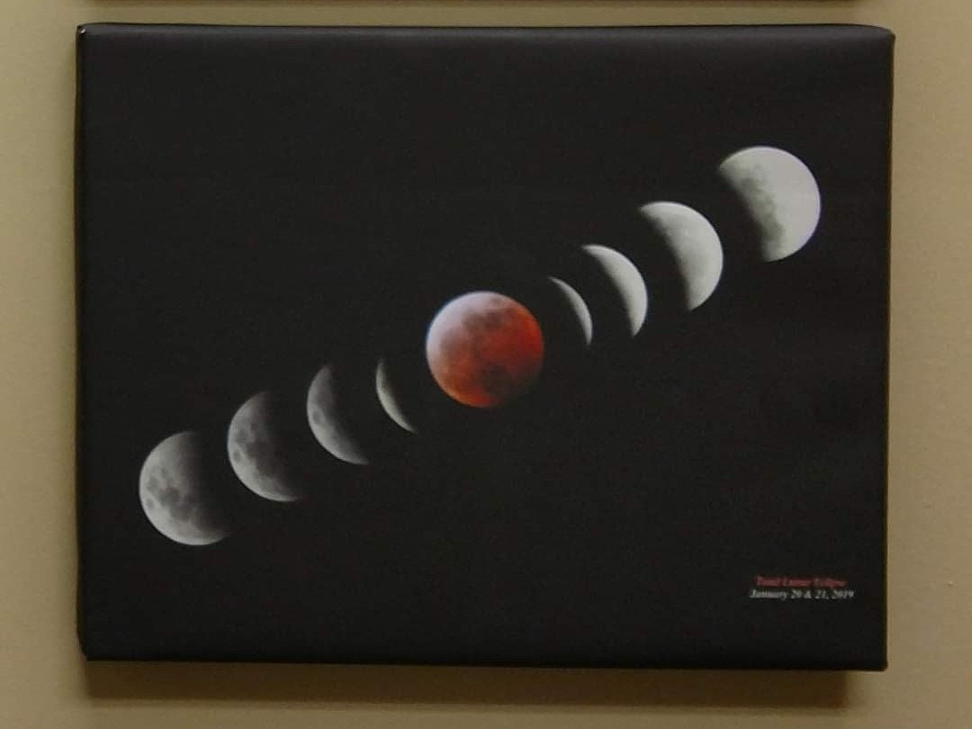 Phases of Lunar Eclipse Canvas Print - Etsy
