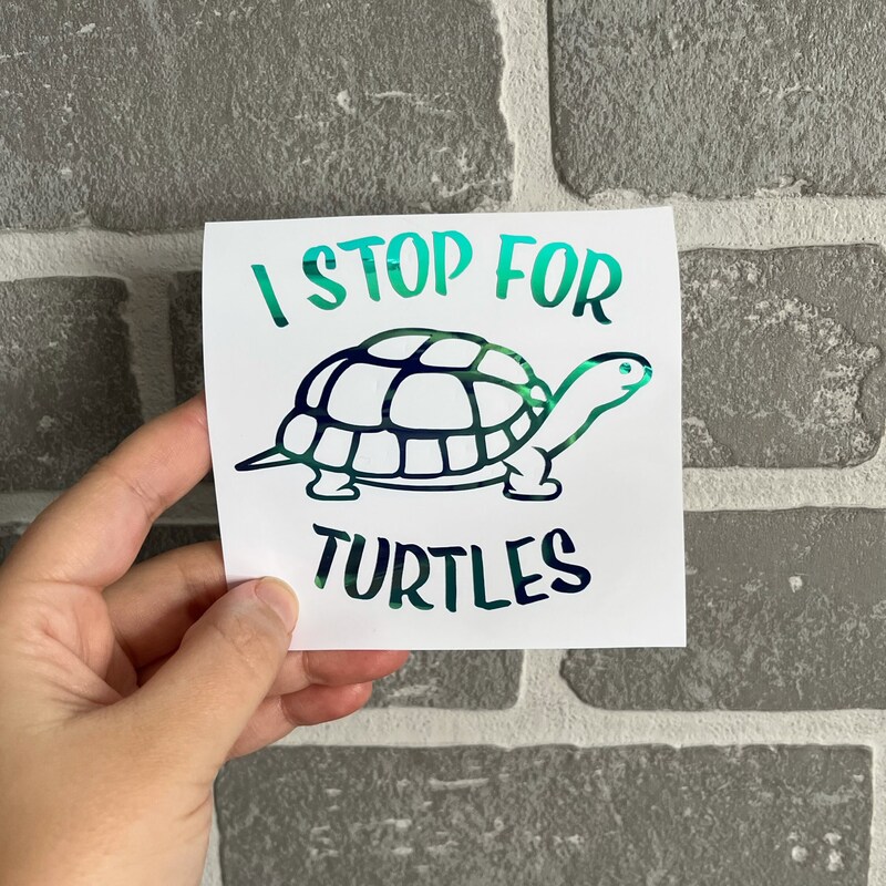 Turtle Decal - Etsy