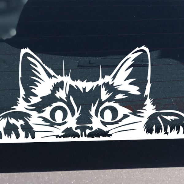 Bumper Car Kitten - Etsy