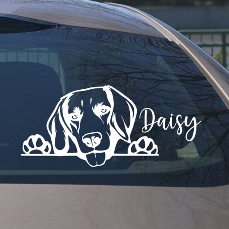Beagle Gifts - 60+ Gift Ideas for 2025