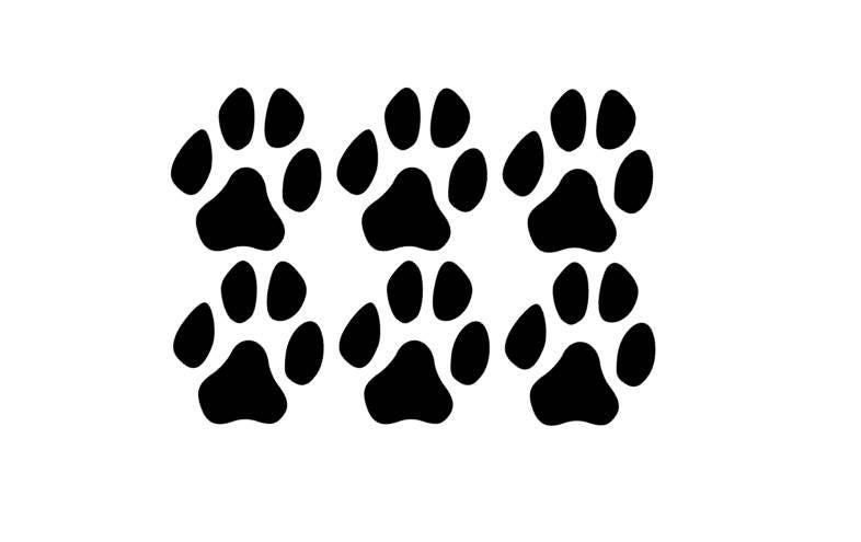 Set of 6 Large Paw Prints Stickers Dog Paws Car Decal Vinyl Sticker Cat ...