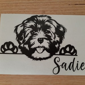 Havanese Peeking Dog Car Decal Sticker, Havanese Dog Sticker, Vinyl ...
