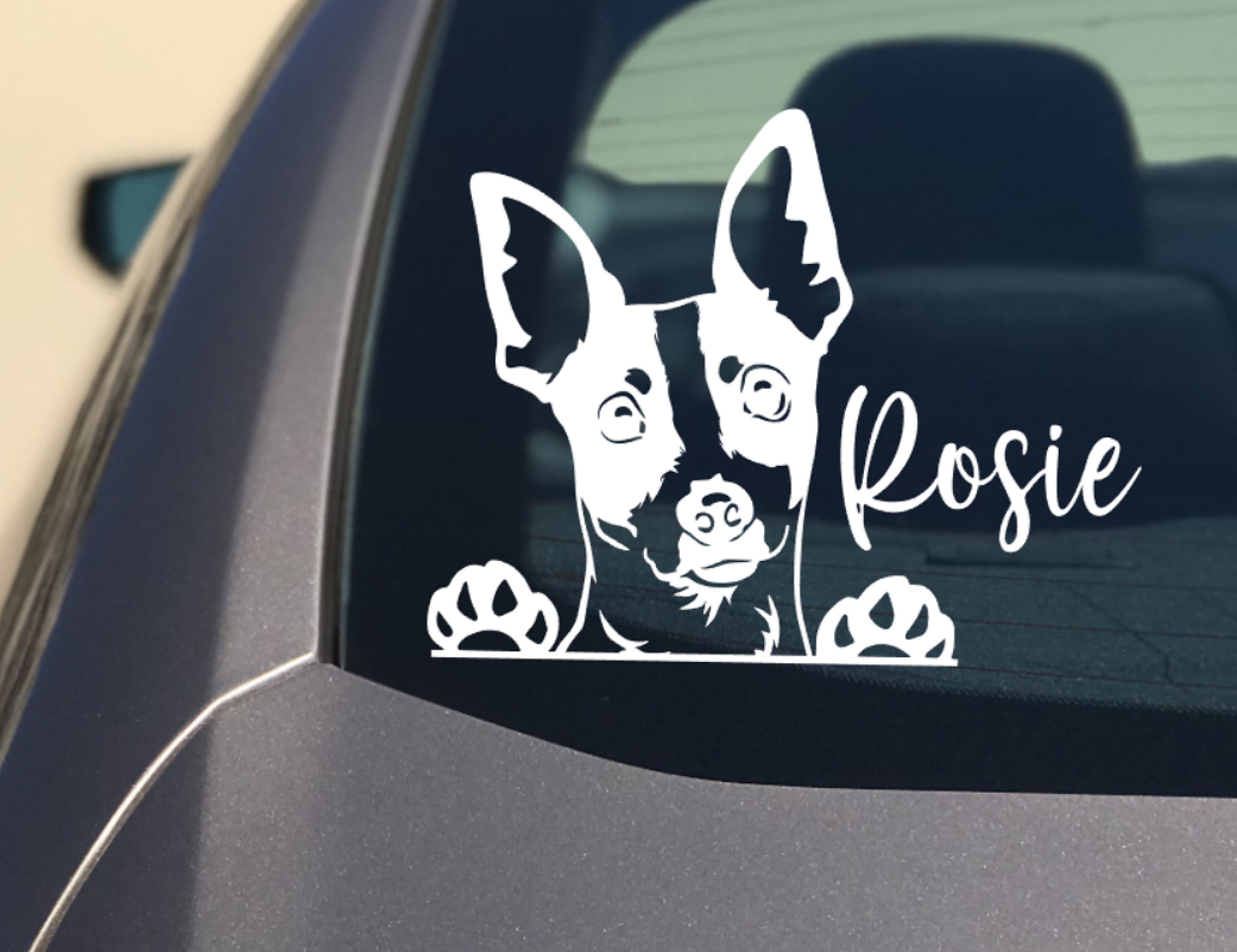 Mini Fox Terrier Peeking Dog Car Decal Sticker Toy Fox - Etsy