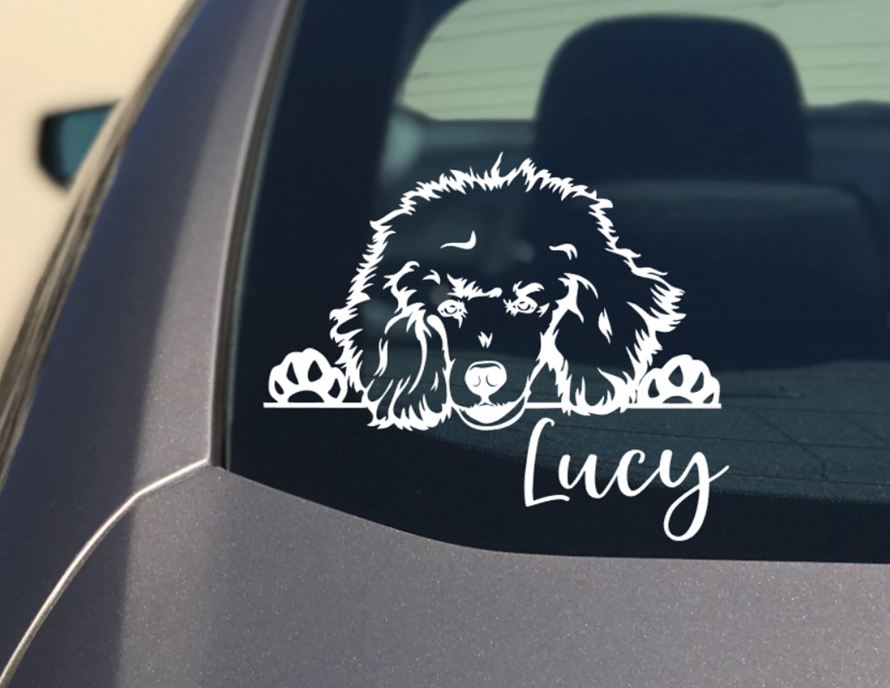 Peeking Poodle Car Decal / Sticker - Etsy