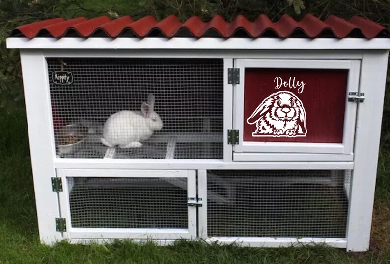 Peeking Bunny Rabbit Sticker Vinyl Decal, Car Window Hutch DIY Sign ...