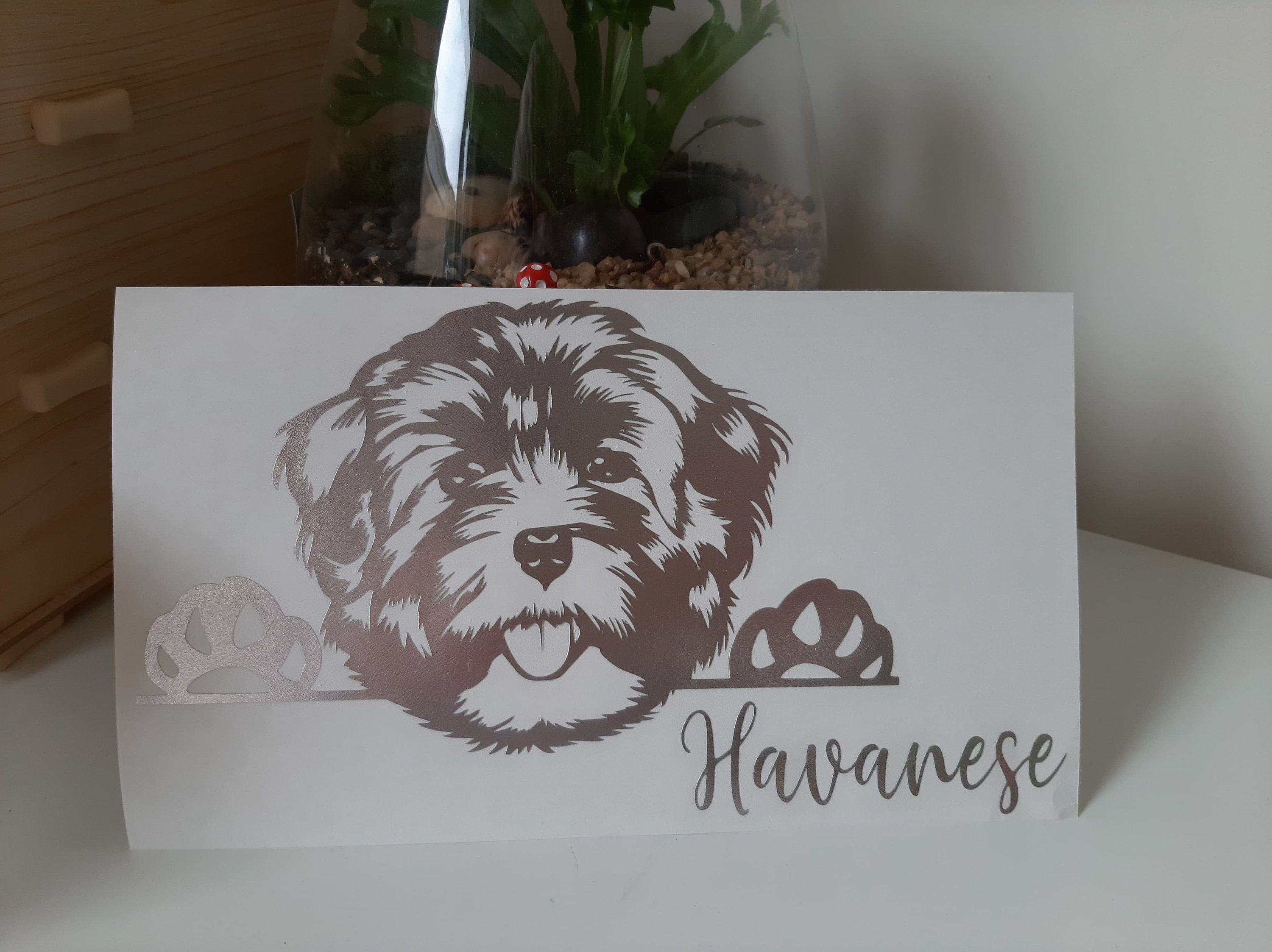 Havanese Peeking Dog Car Decal Sticker, Havanese Dog Sticker, Vinyl ...