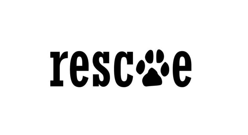 Rescue Dog Car Decal / Sticker | Etsy