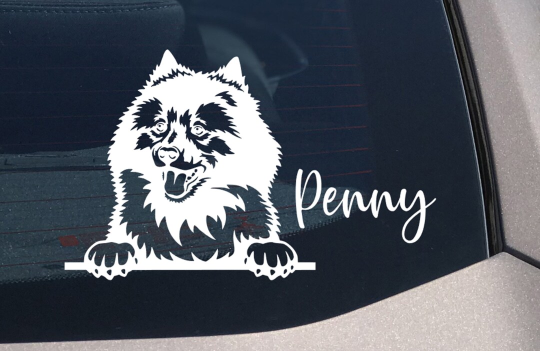 Peeking Keeshound Car Decal / Sticker Keeshonden Spitz - Etsy