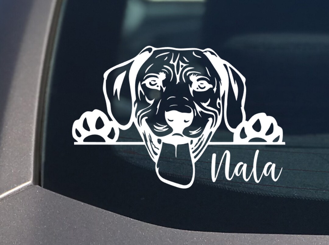 Peeking Rodesian Ridgeback Dog Car Decal Sticker, Rodesian Ridgeback ...