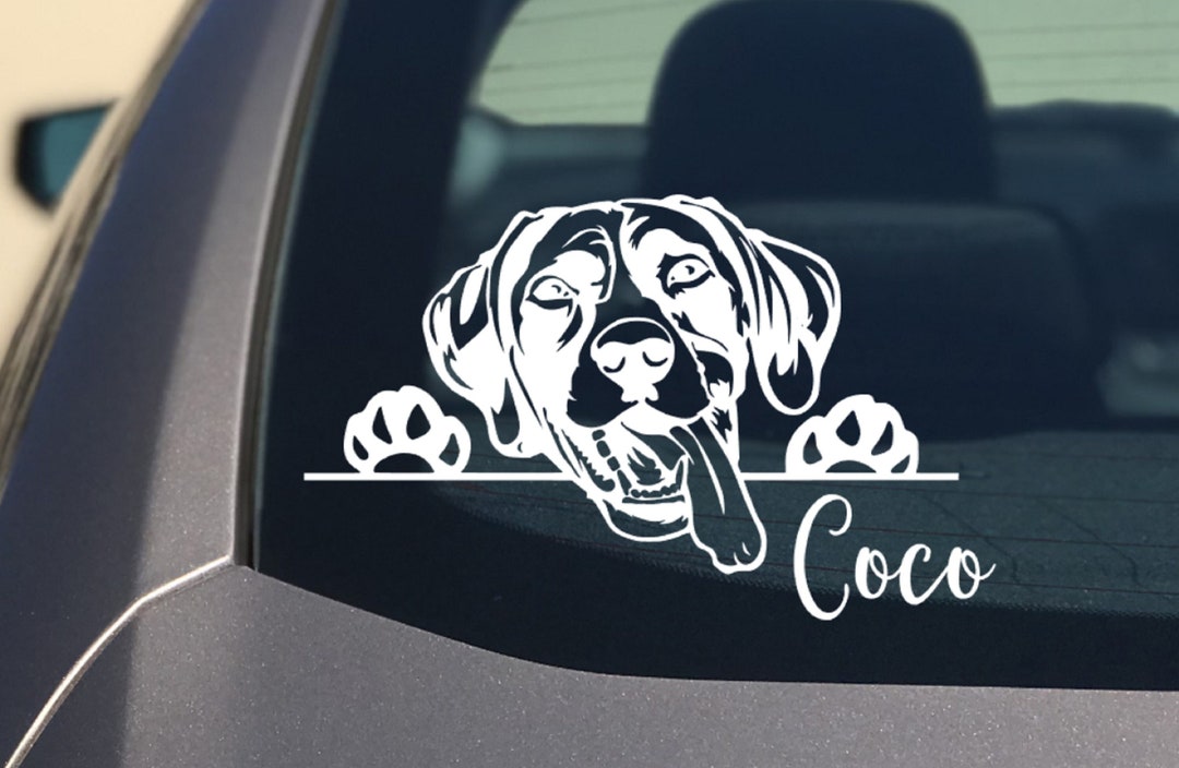 German Short Haired Pointer GSP Peeking Dog Car Decal Sticker, German ...