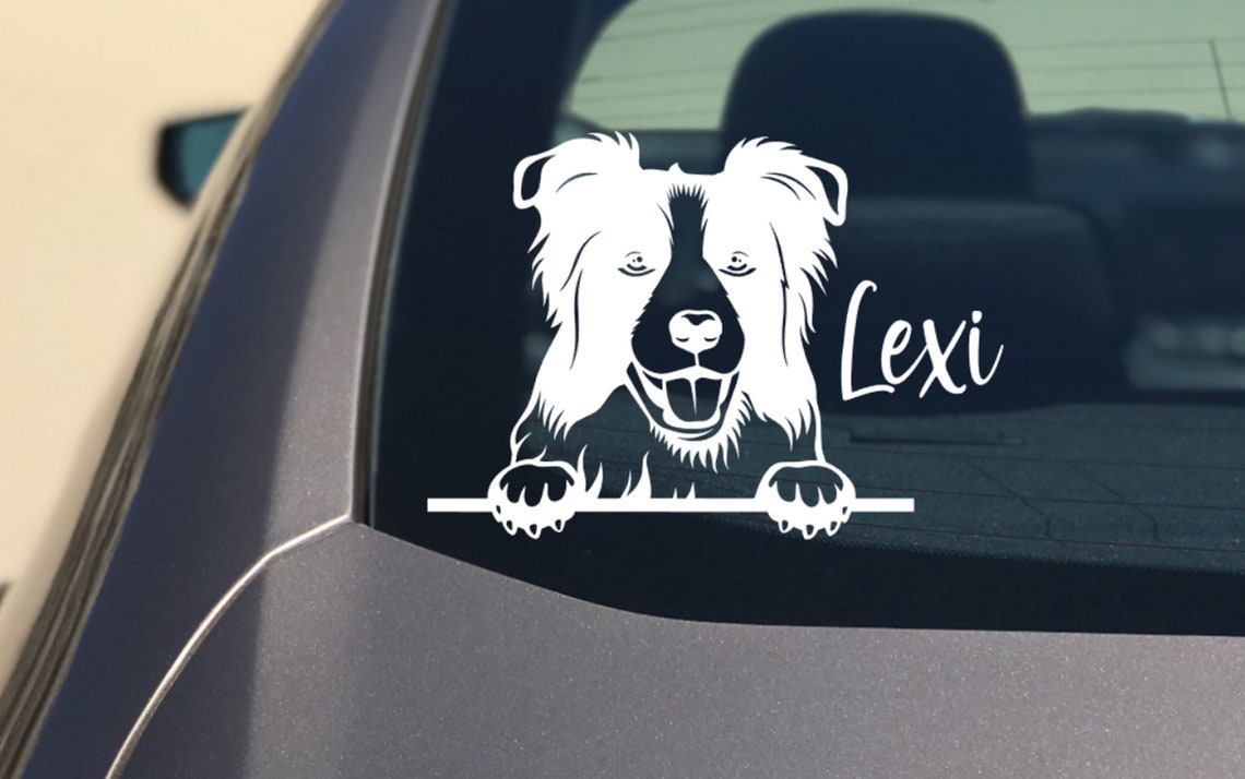 Border Collie Peeking Dog Car Decal Sticker Border Collie - Etsy Australia