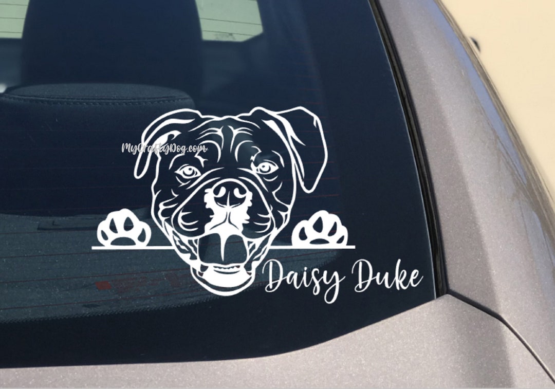 American Bulldog Peeking Dog Car Decal Sticker - Etsy