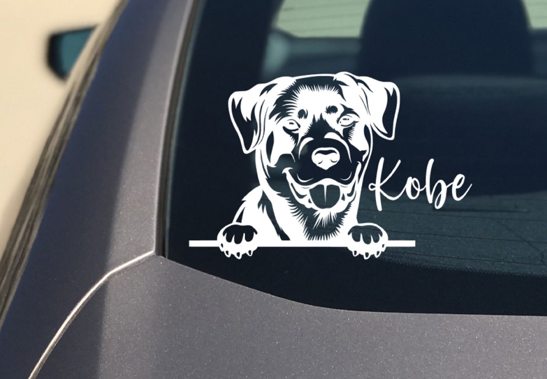 Rottweiler Peeking Dog Car Decal Sticker, Rottweiler Dog Sticker, Vinyl ...