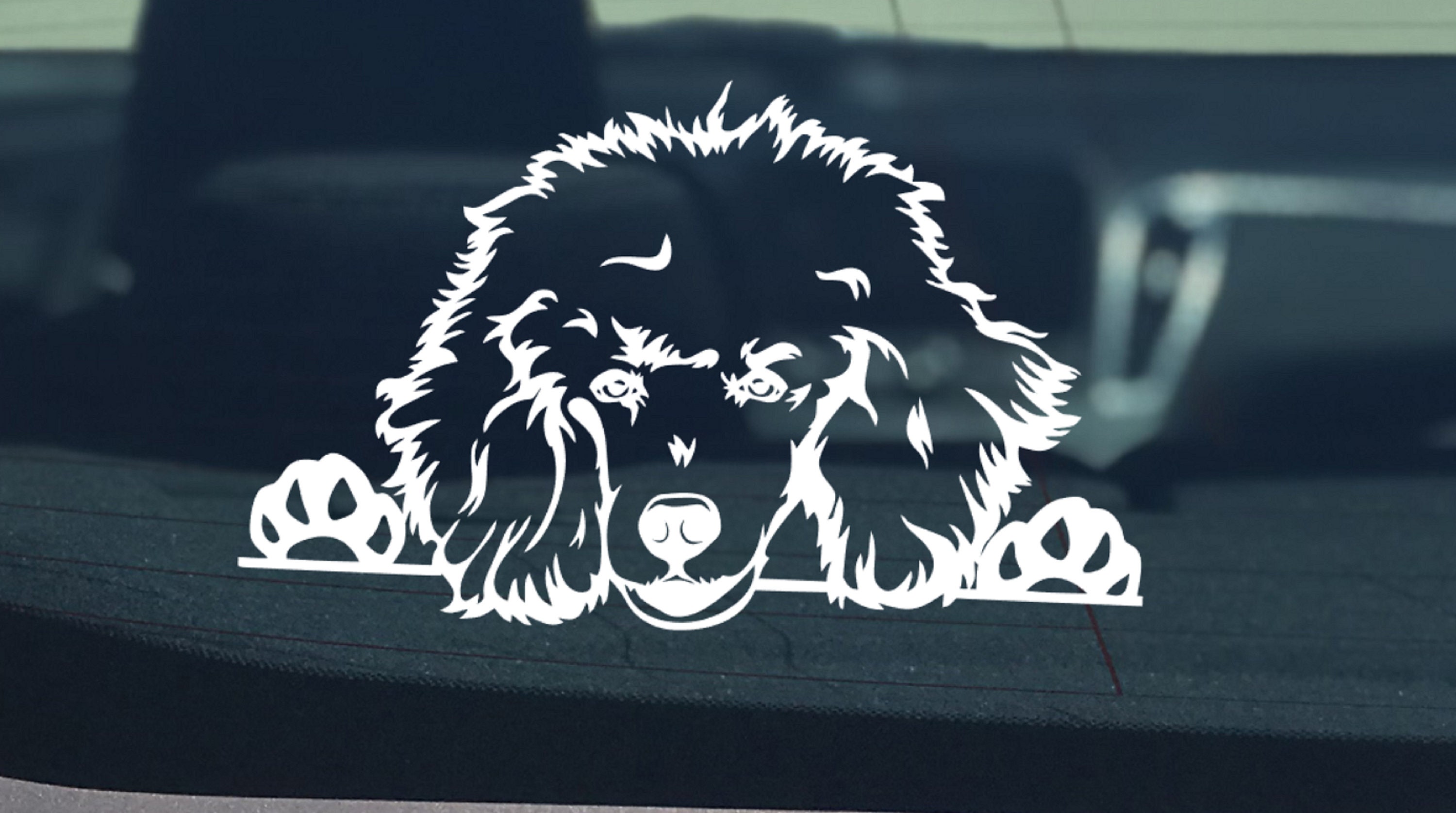 Peeking Poodle Car Decal / Sticker - Etsy