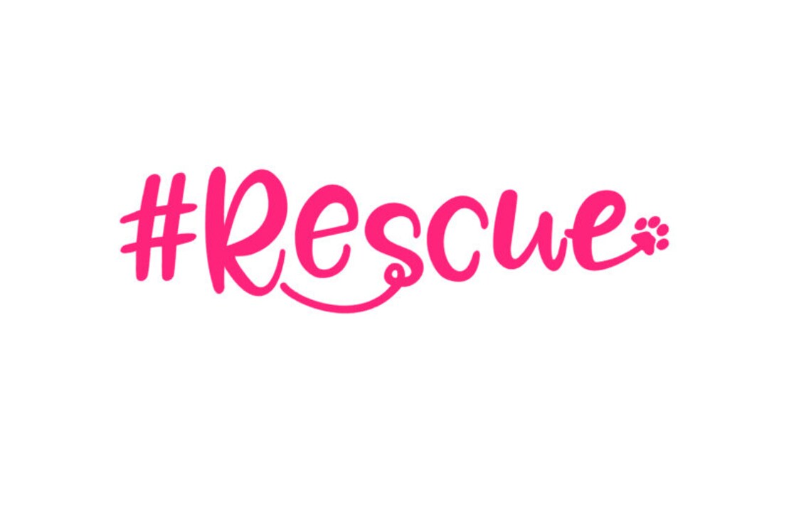 Hastag rescue Dog Car Decal / Sticker | Etsy