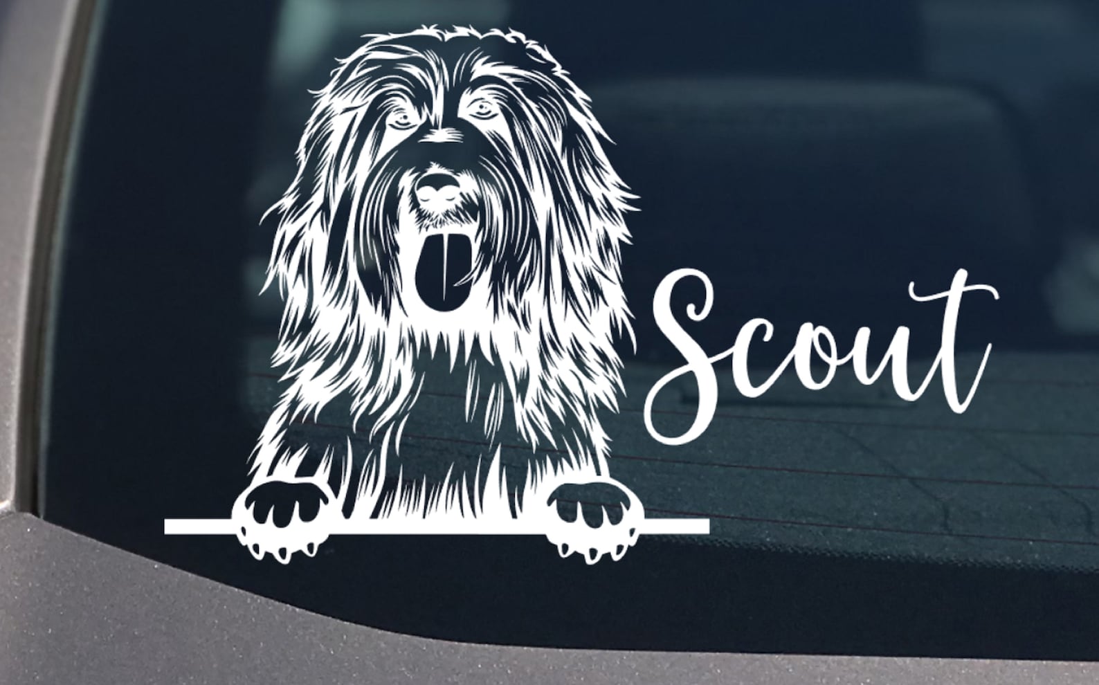 Peeking Bearded Collie Car Decal / Sticker - Etsy Australia