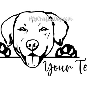 Labrador Retriever Peeking Dog Car Decal Sticker, Labrador Dog Sticker ...