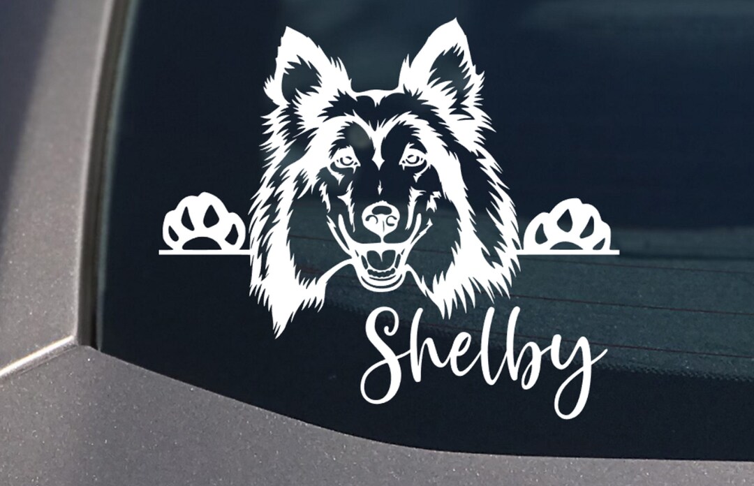 Sheltie Peeking Dog Car Decal Sticker, Shetland Sheepdog Dog Sticker ...