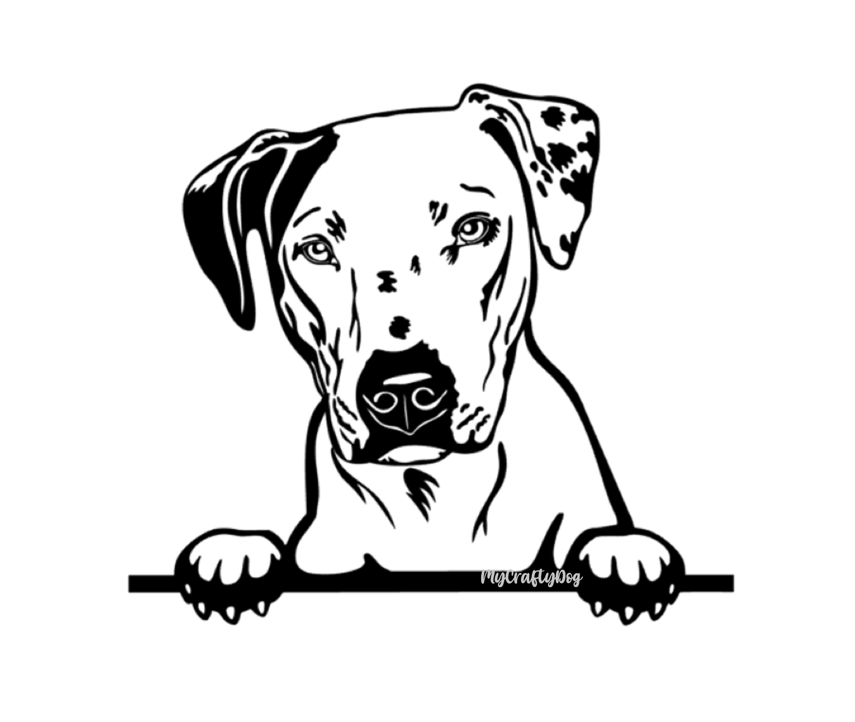 Peeking Bull Arab Car Decal / Sticker Dog High Quality Vinyl Window ...