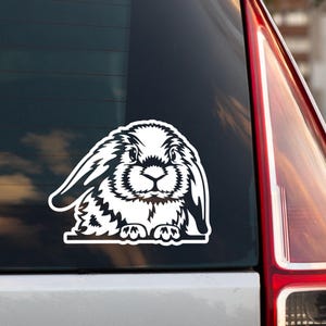 Peeking Bunny Rabbit Sticker Vinyl Decal, Car Window Hutch DIY Sign ...